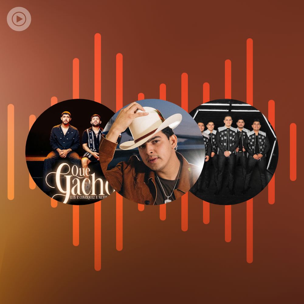 Panter Bélico, Netón Vega, Enigma Norteño, Los Alegres del Barranco ...