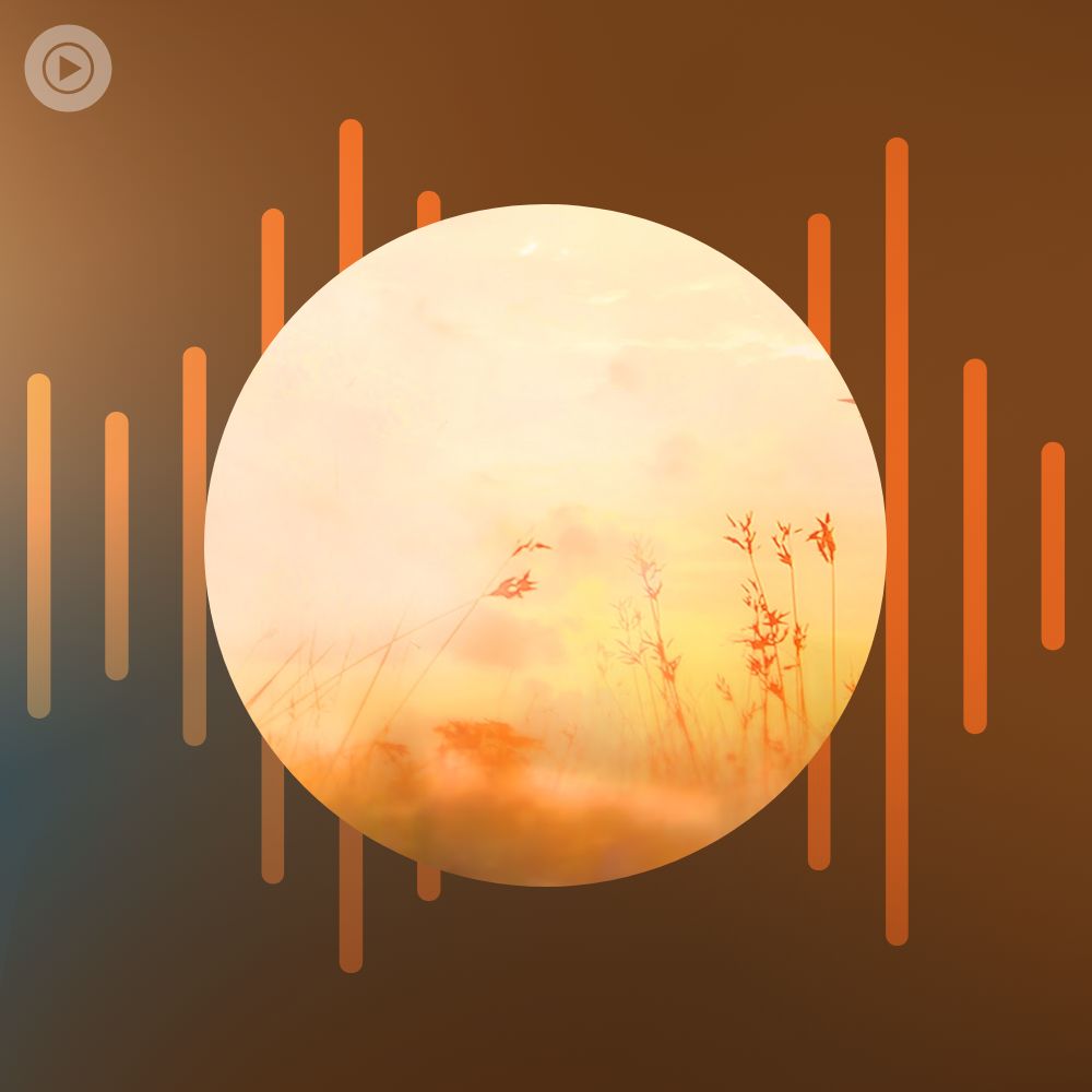Lamb Music Radio • 2020s
