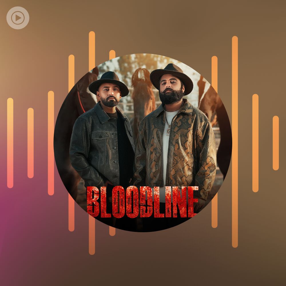 Harf Cheema Radio • Party