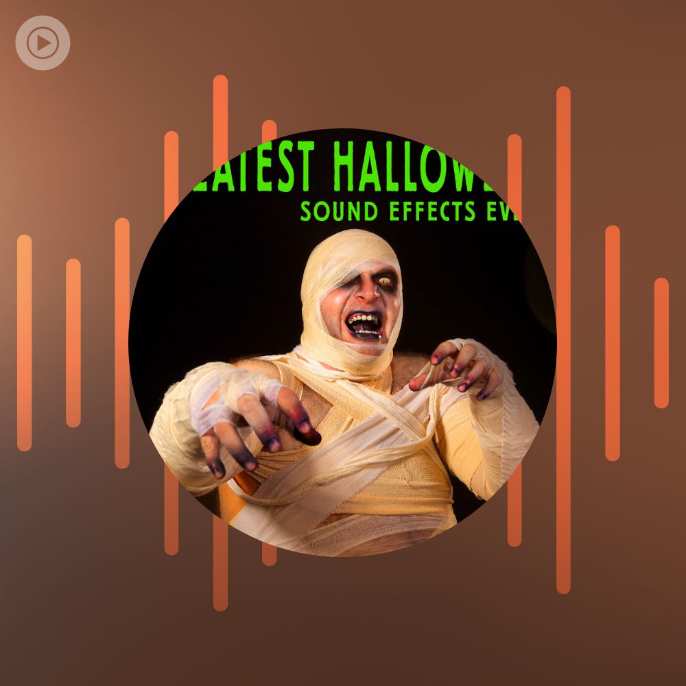 The Hollywood Edge Sound Effects Library Radio • 2010s