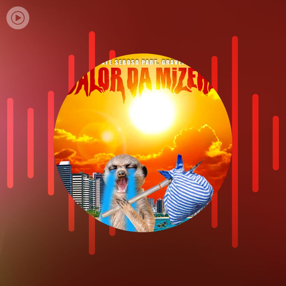 Suricate Seboso Radio • Downbeat • Popular