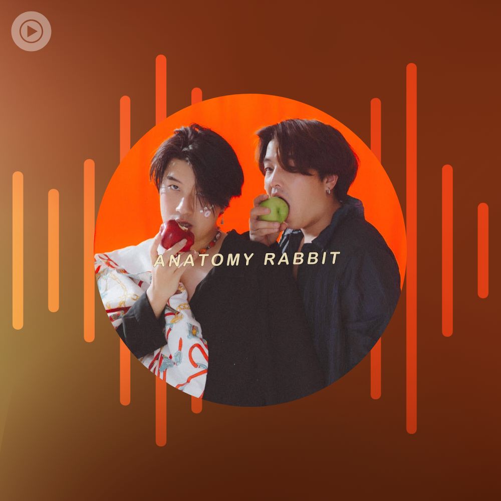 Anatomy Rabbit Radio • 2010s
