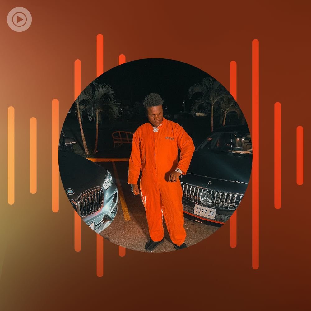 Sgee Vehnom Radio • Party